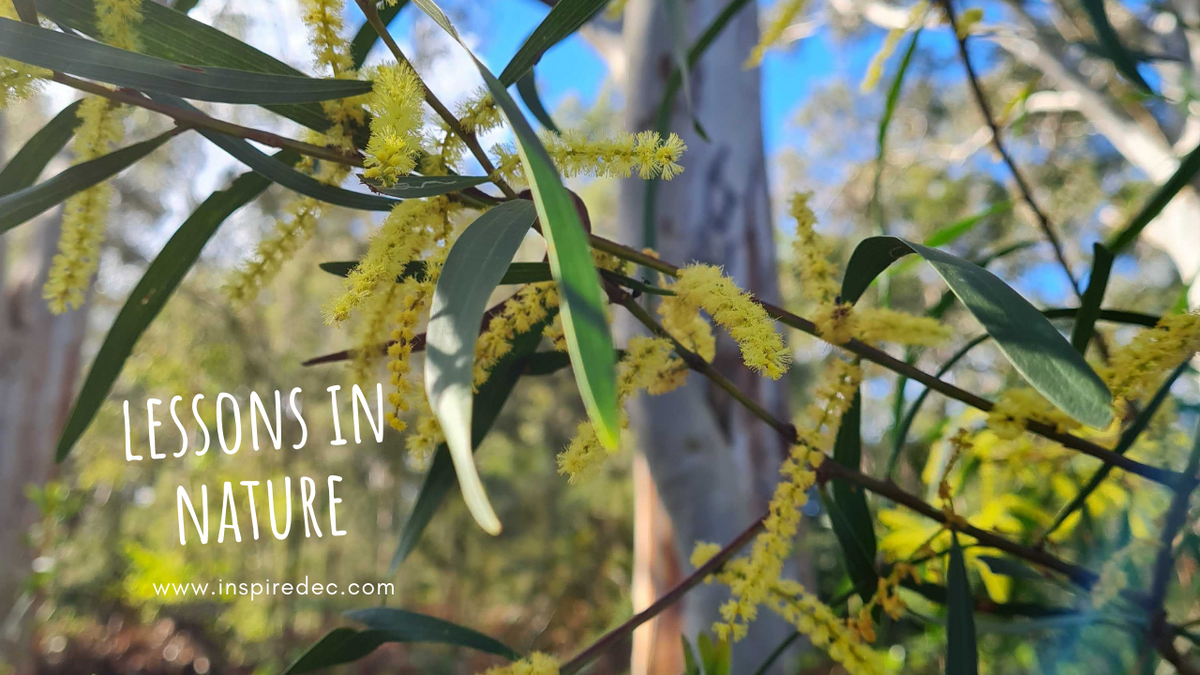 Lessons In Nature – Inspired EC