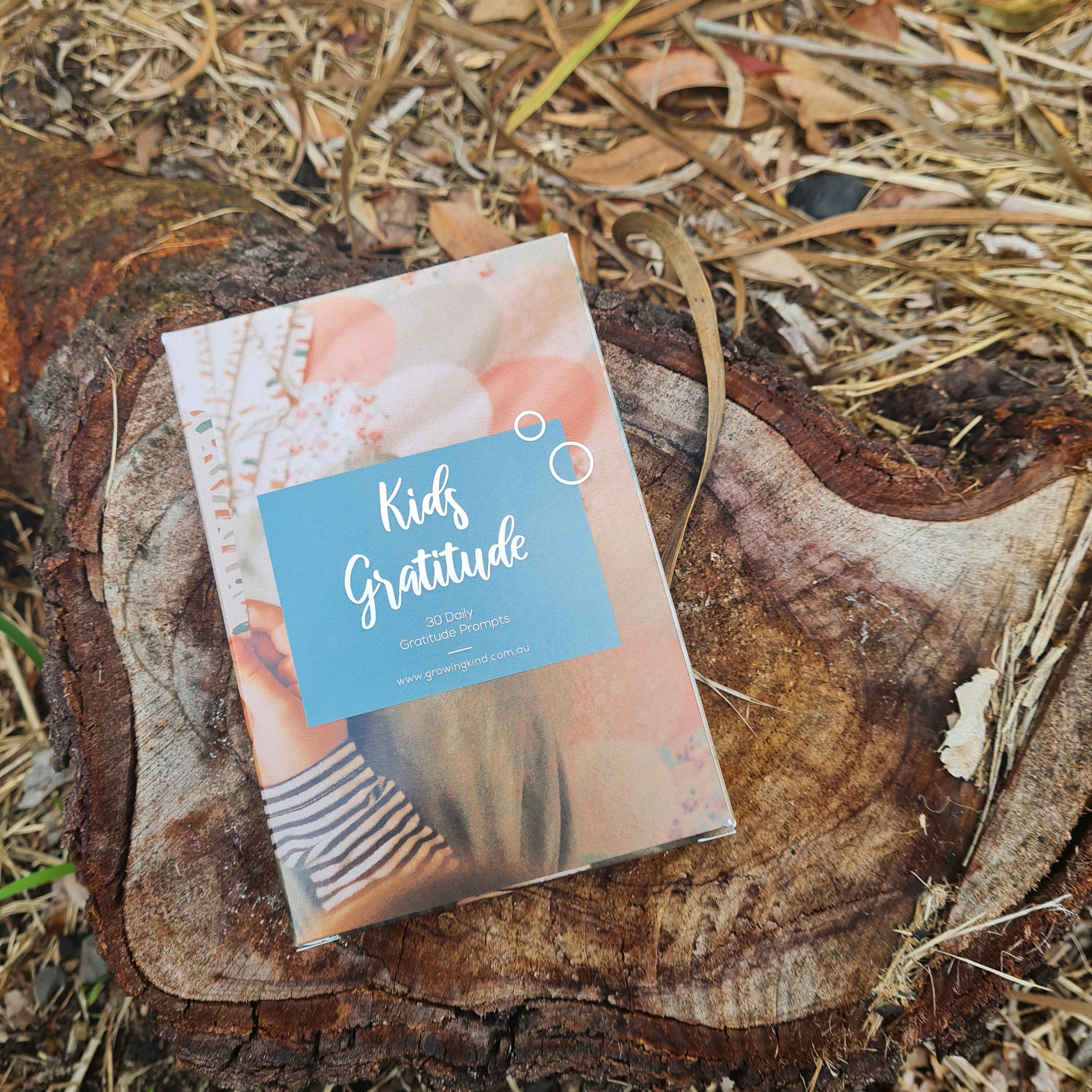 Daily Gratitude Cards for Kids – Inspired EC