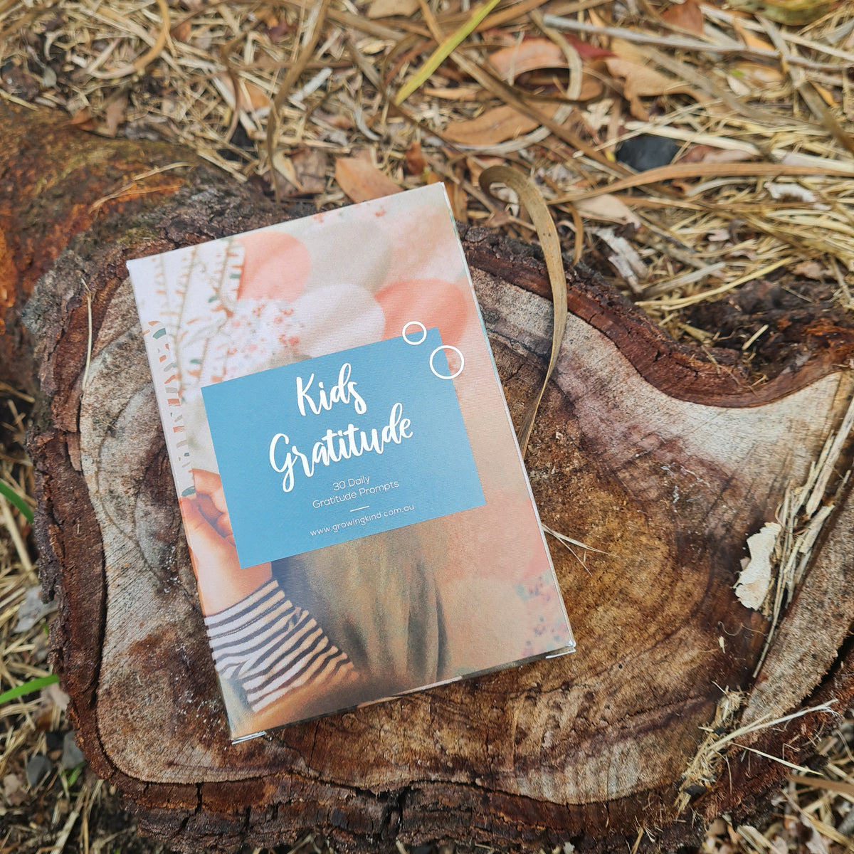 Daily Gratitude Cards for Kids – Inspired EC